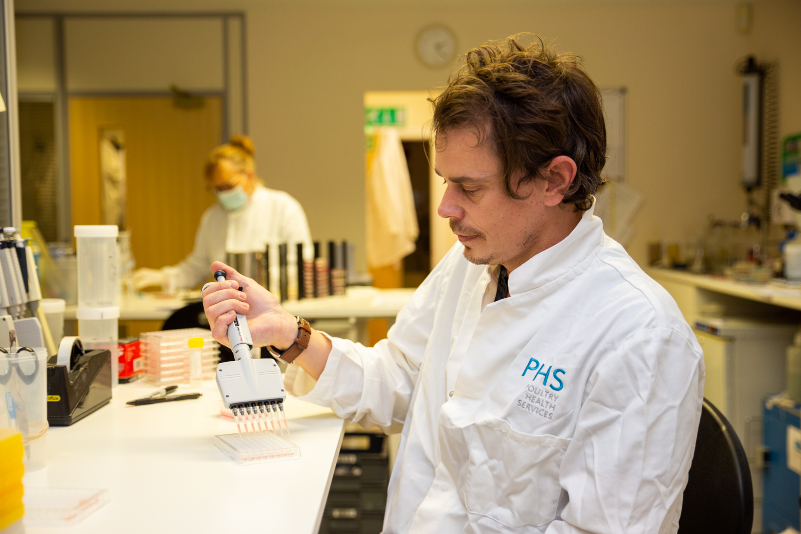 Services | Poultry Health Services